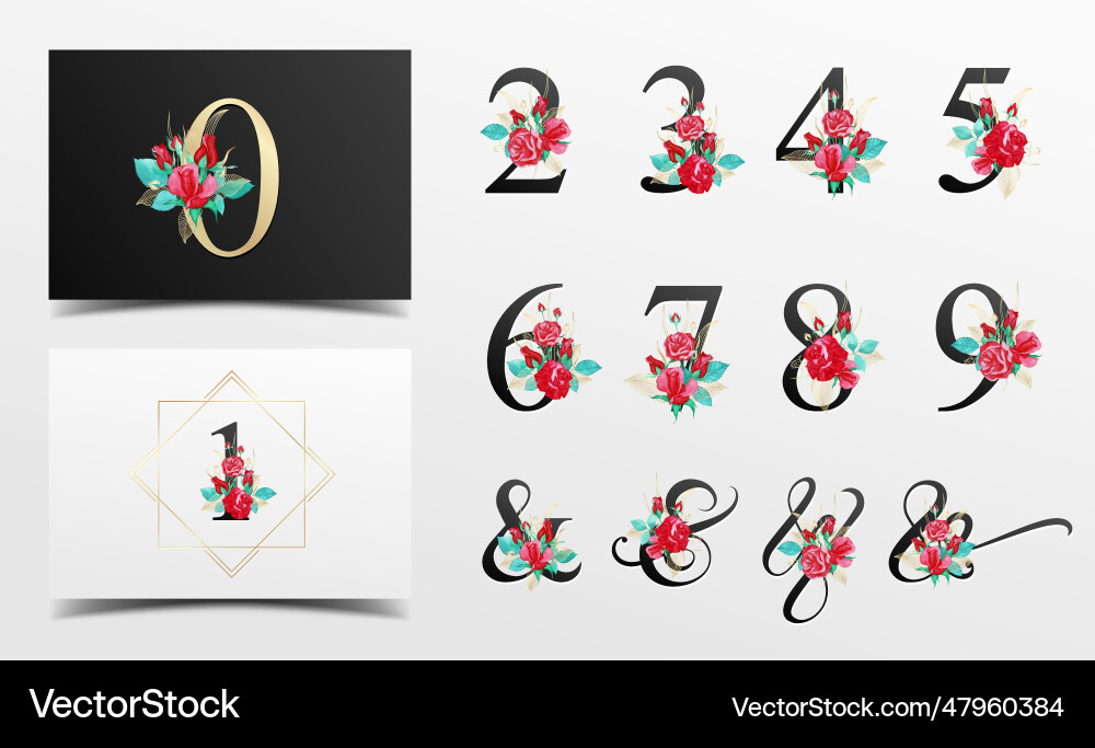 Beautiful alphabet number collection with red Vector Image