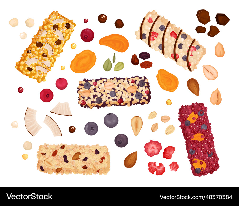 Healthy grain nuts set Royalty Free Vector Image
