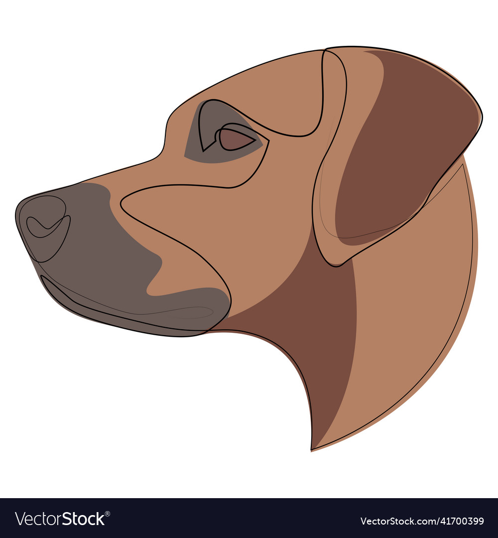 Continuous line rhodesian ridgeback single Vector Image