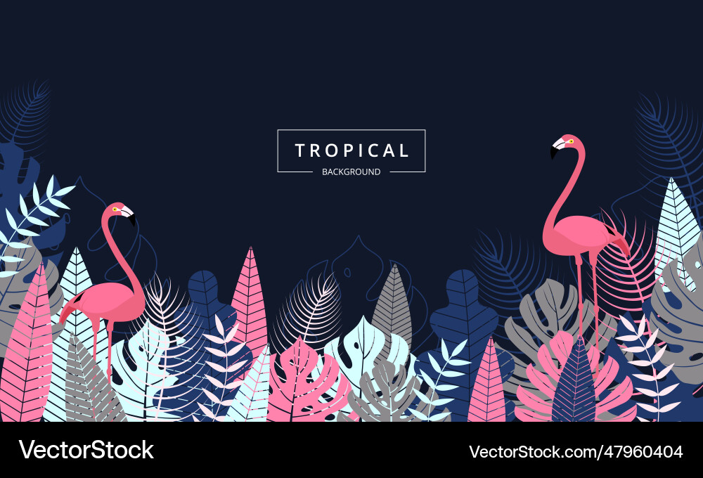 Tropical background with flamingo bird tropical Vector Image