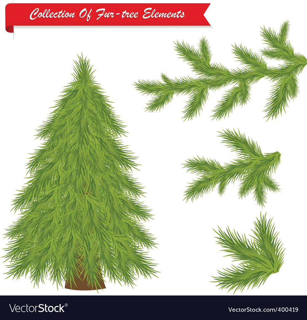Fir trees Royalty Free Vector Image - VectorStock