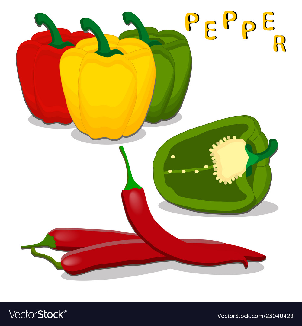 Whole ripe vegetables pepper Royalty Free Vector Image