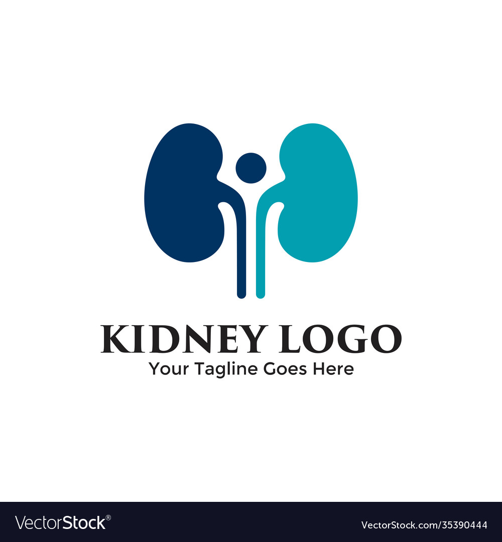 Kidney logo urology icon design template Vector Image Kidney logo urology icon design template Vector Image