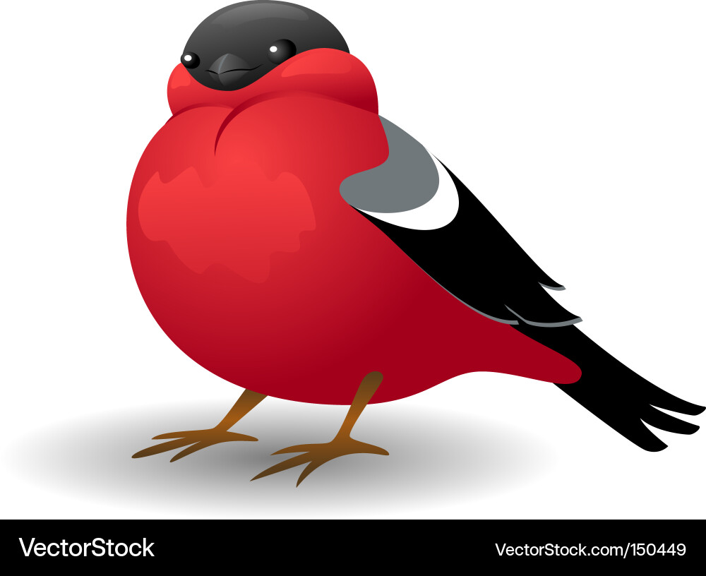 Cartoon bird Royalty Free Vector Image - VectorStock