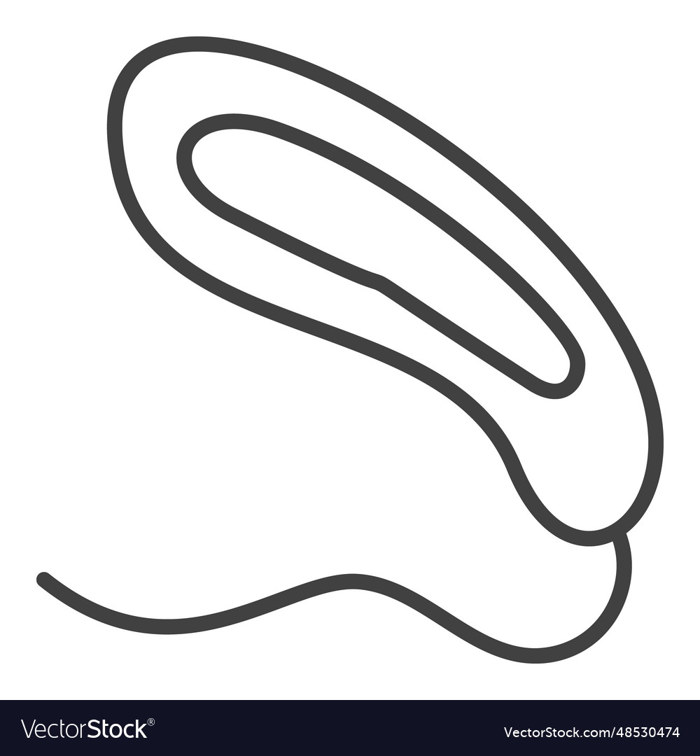 Prokaryote Bacteria Concept Thin Line Icon Or Sign
