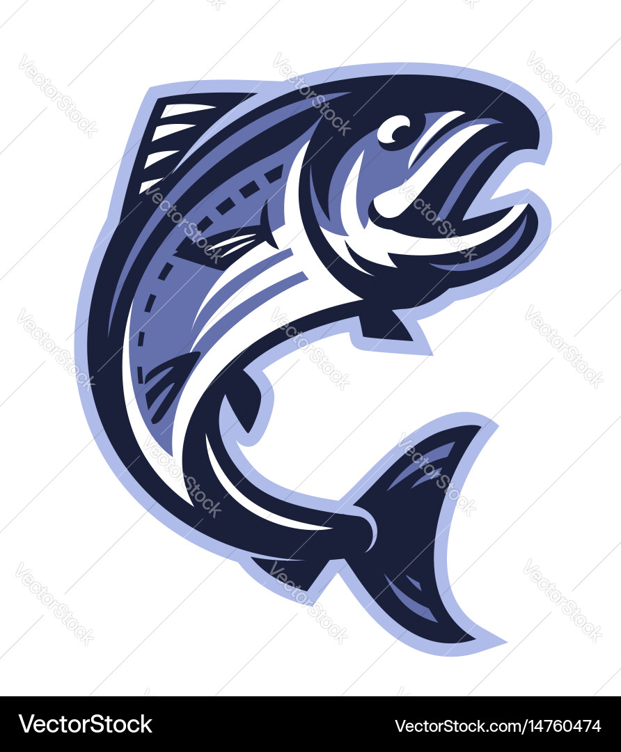 Salmon fish on white Royalty Free Vector Image