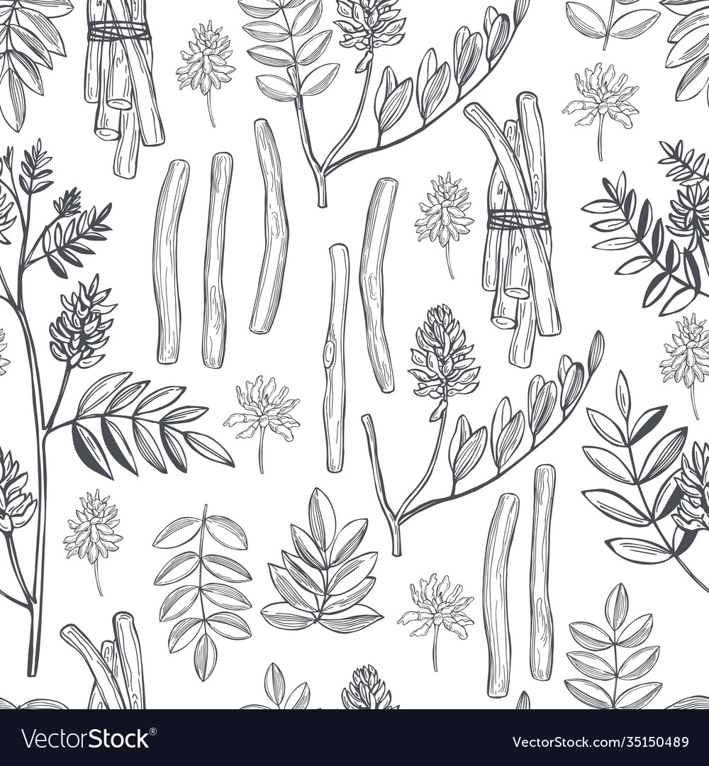Licorice pattern Royalty Free Vector Image - VectorStock