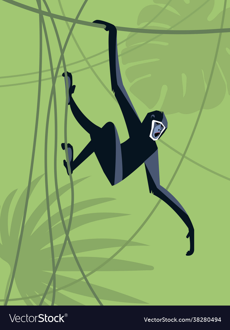 Monkey Royalty Free Vector Image - VectorStock