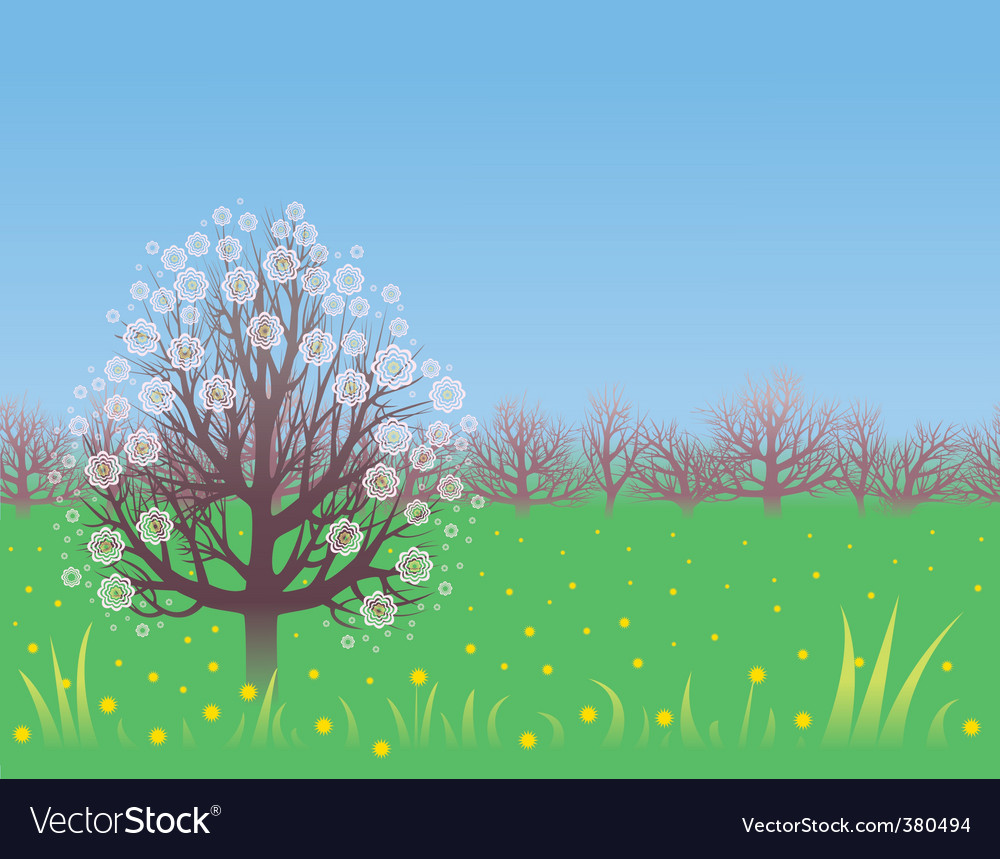 Spring background Royalty Free Vector Image - VectorStock