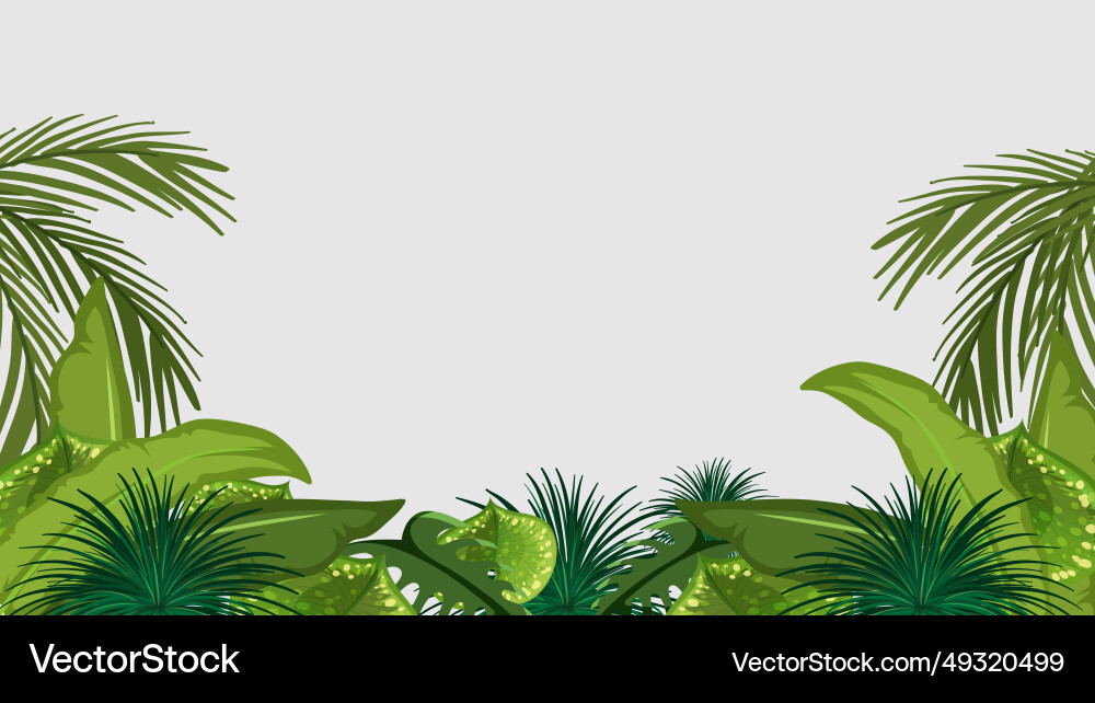 Tropical plants border frame on white background Vector Image