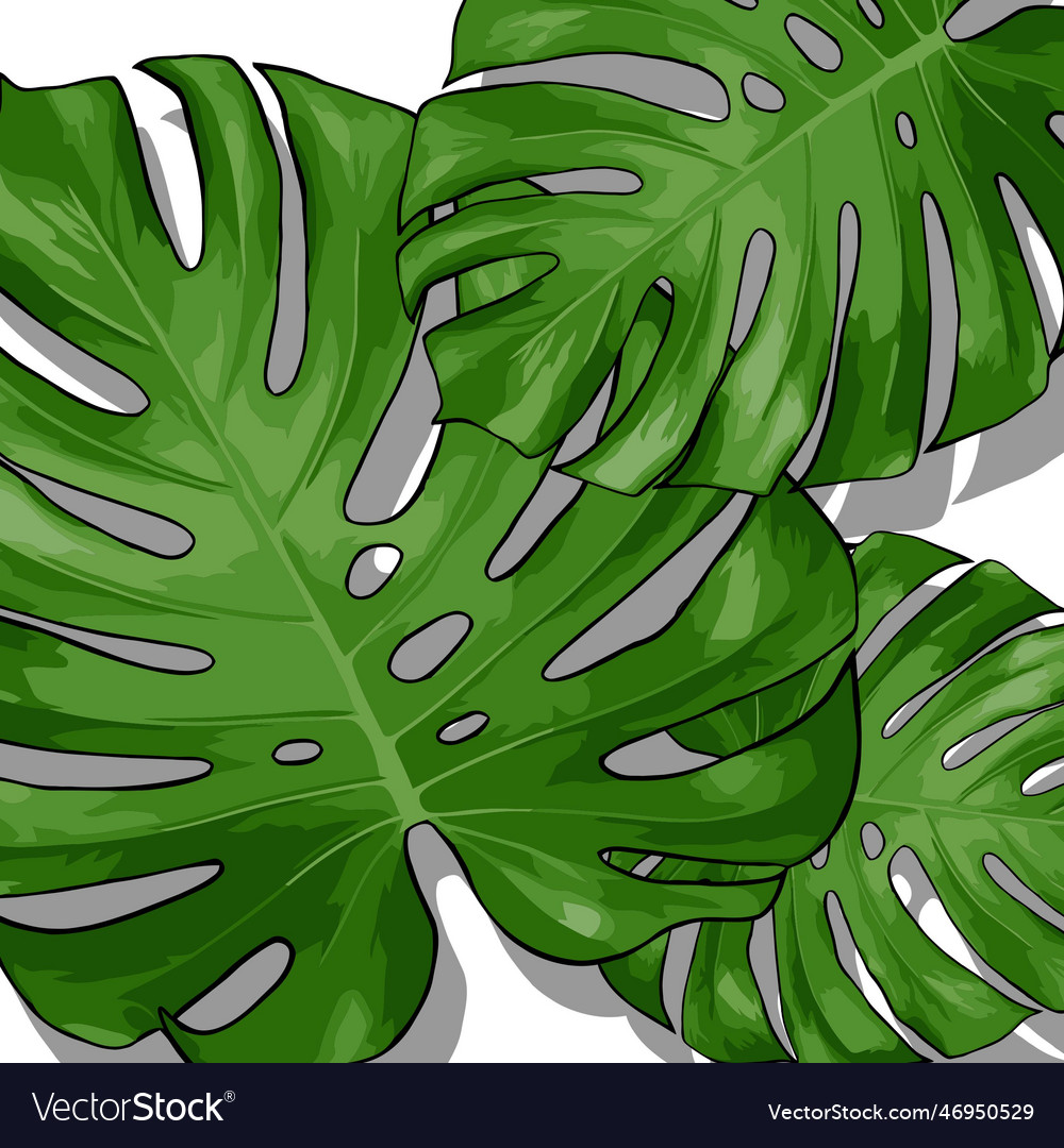 Green leaf pattern template Royalty Free Vector Image