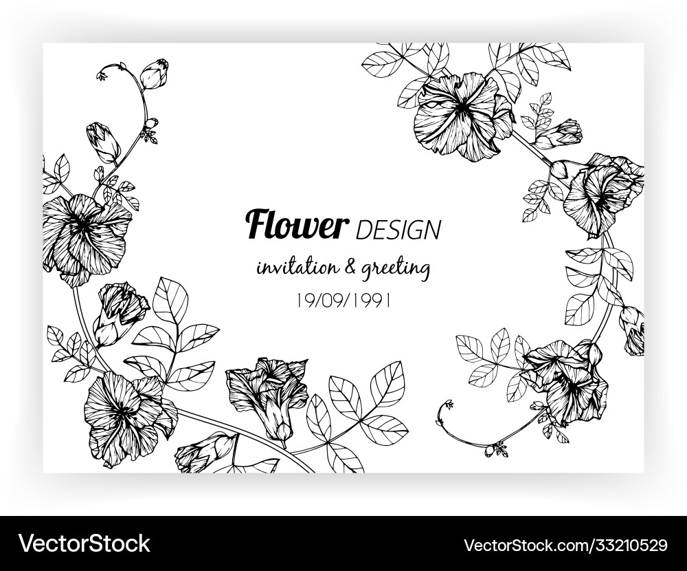 Greeting card with butterfly pea flower and leaf Vector Image