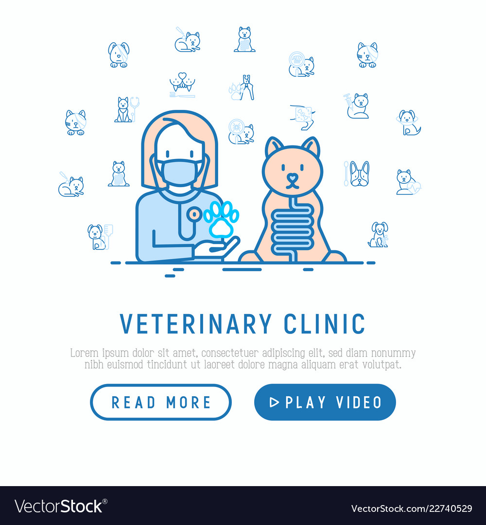 Veterinary clinic concept thin line icons Vector Image