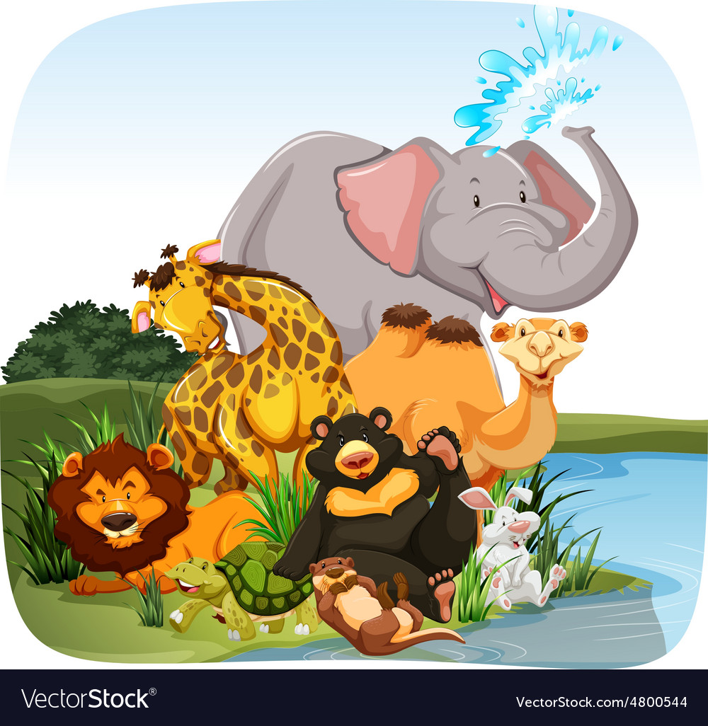 Animals Royalty Free Vector Image - VectorStock