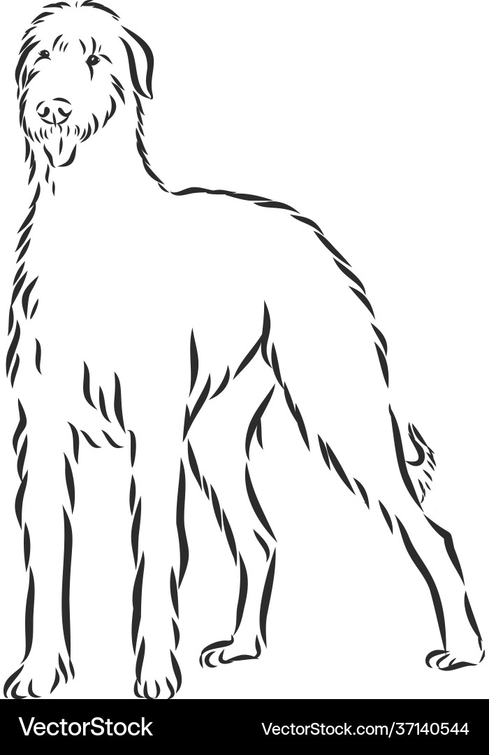 Decorative portrait standing in profile irish Vector Image