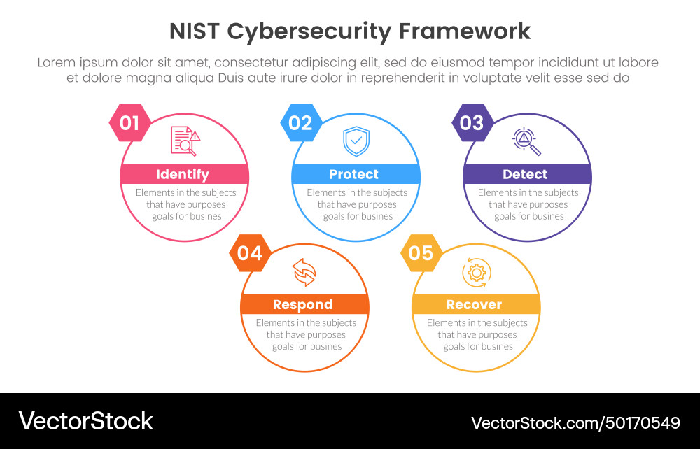 Nist cybersecurity framework infographic 5 point Vector Image