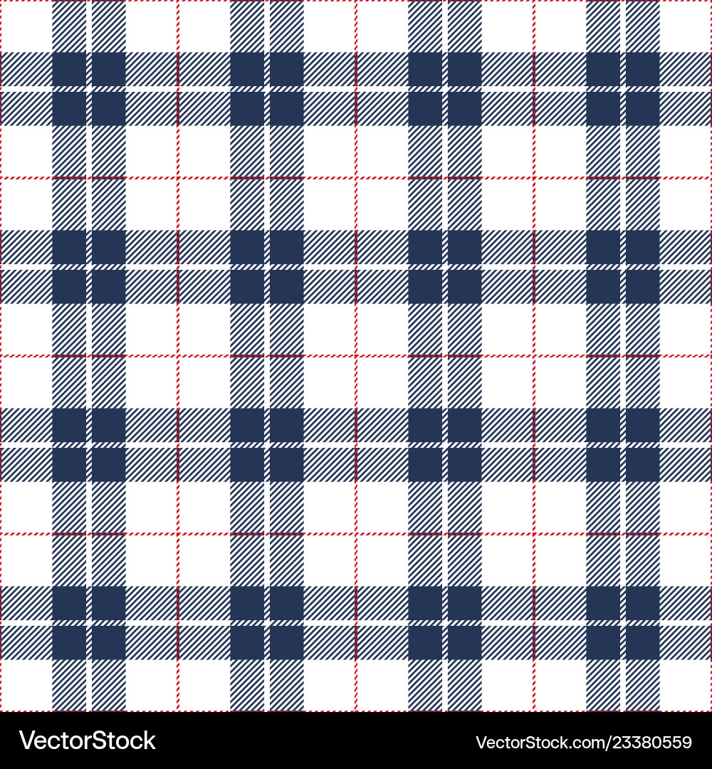 Blue and red tartan plaid seamless pattern Vector Image
