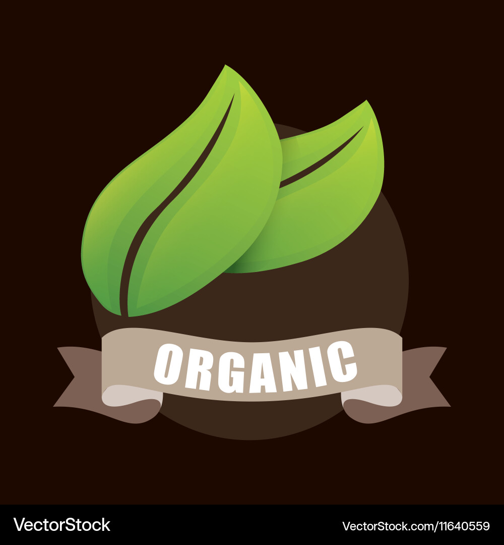 Organic food product Royalty Free Vector Image