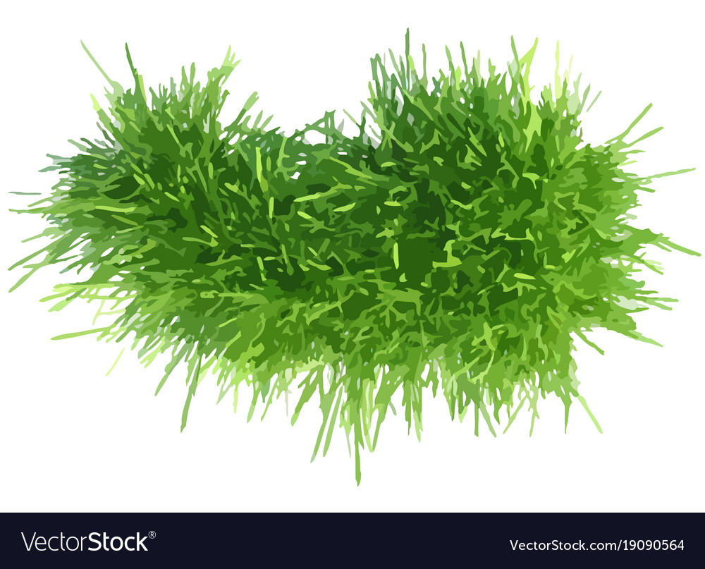 Grass Royalty Free Vector Image - VectorStock