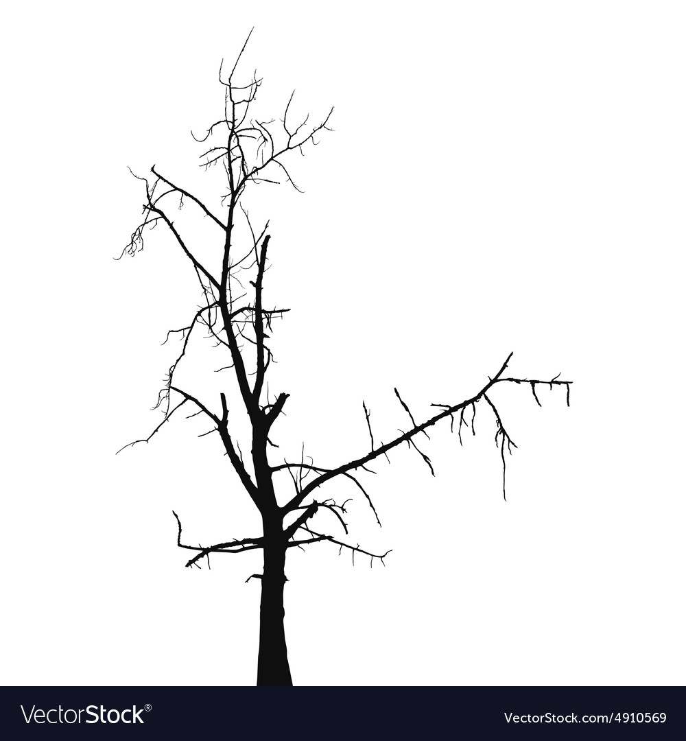 Silhouette old dry tree Royalty Free Vector Image Silhouette old dry tree Royalty Free Vector Image