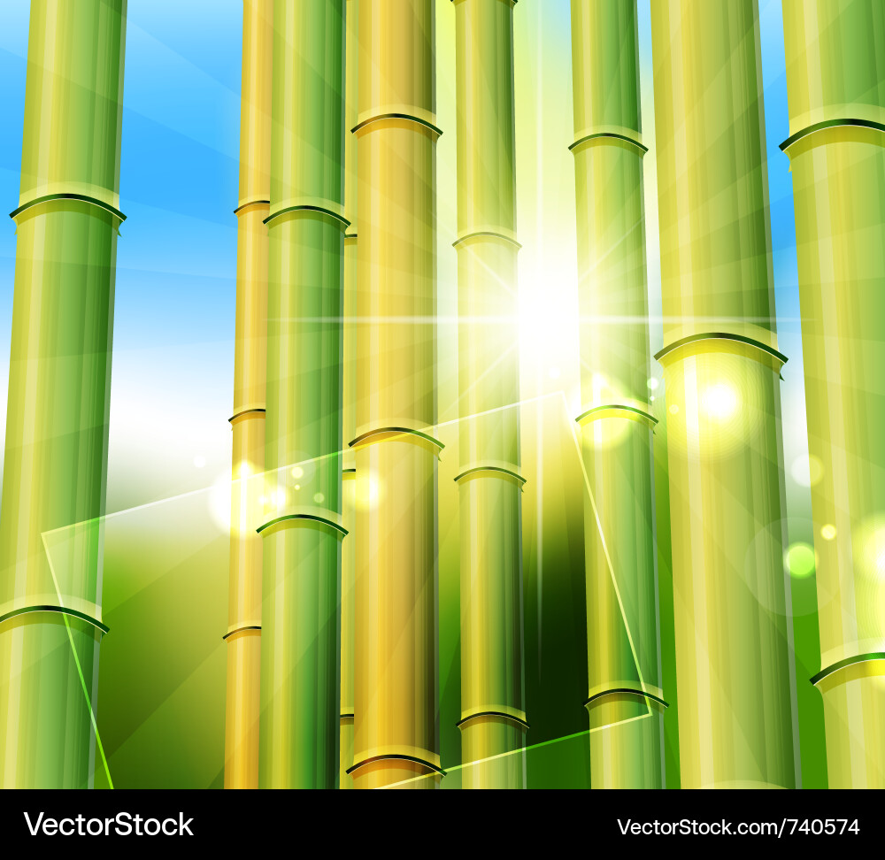 Bamboo nature background Royalty Free Vector Image