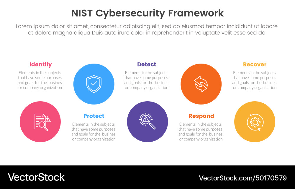 Nist cybersecurity framework infographic 5 point Vector Image