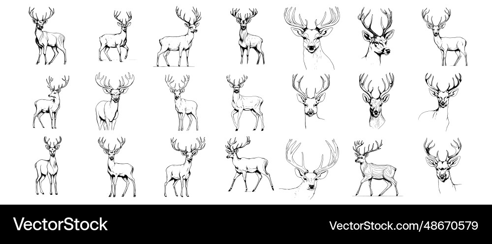 Sketch banner set with deer for your design Vector Image