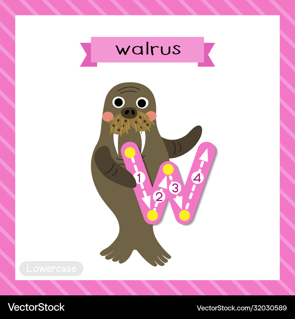 Letter w lowercase tracing happy walrus Royalty Free Vector