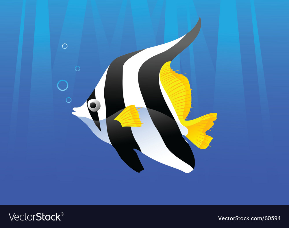 Fish Royalty Free Vector Image - VectorStock