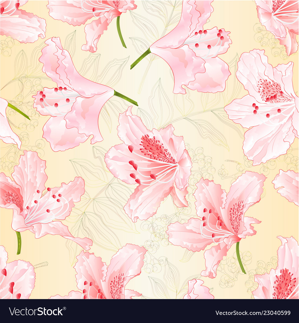 Seamless texture light pink blossoms rhododendrons Seamless texture light pink blossoms rhododendrons