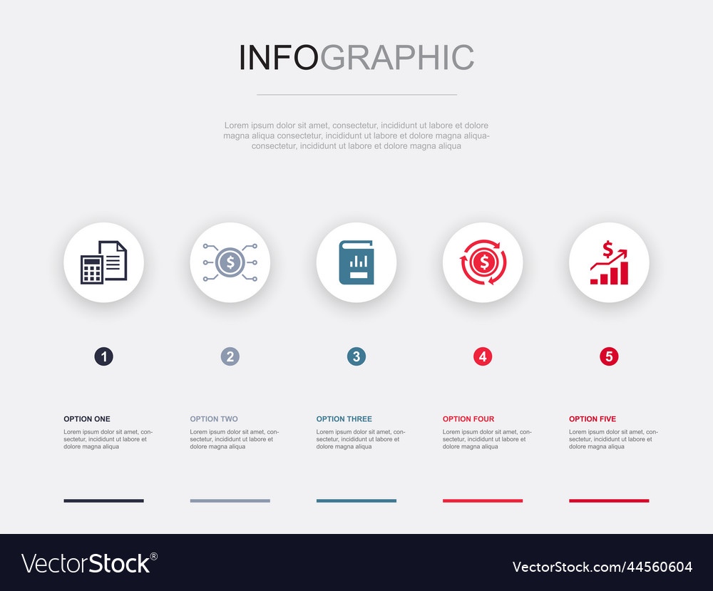 Accounting asset annual report net income Vector Image Accounting asset annual report net income Vector Image