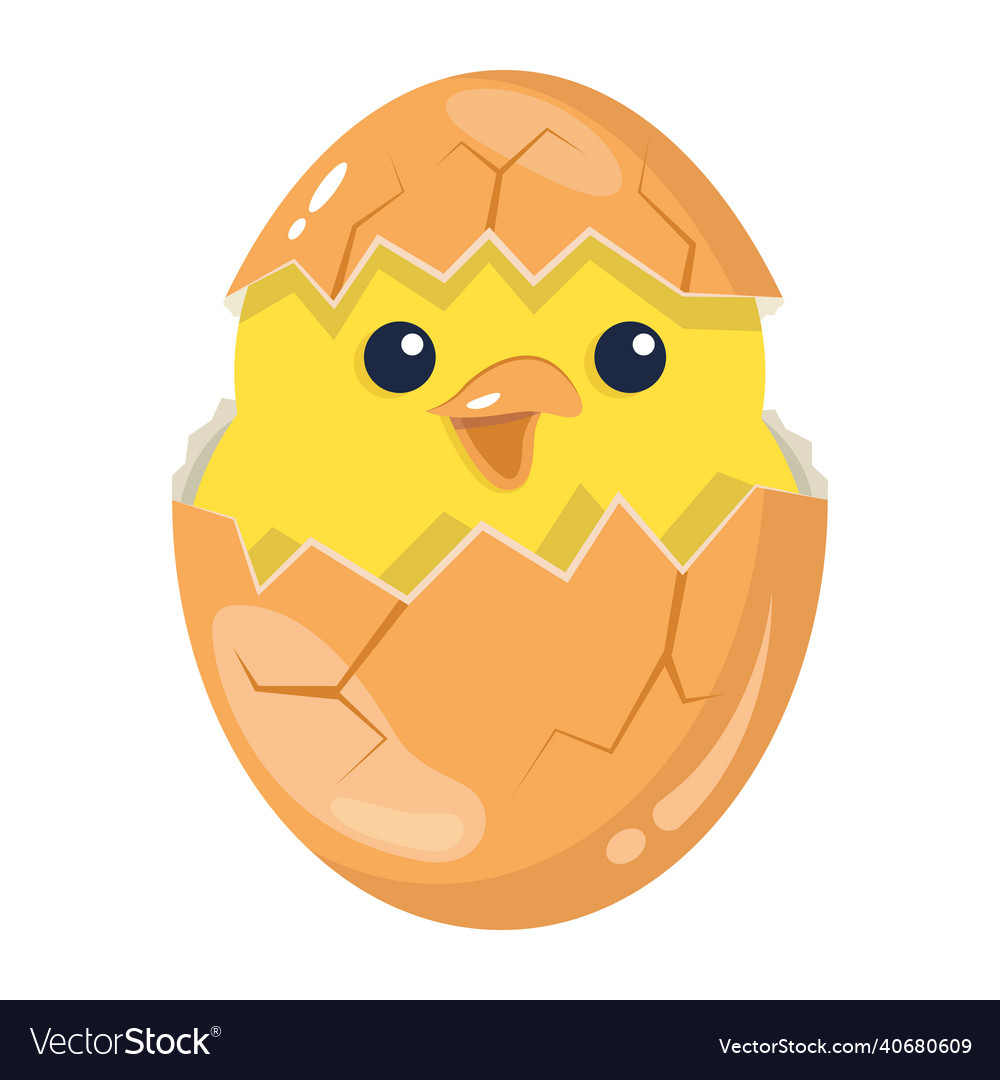 Chick hatching Royalty Free Vector Image - VectorStock