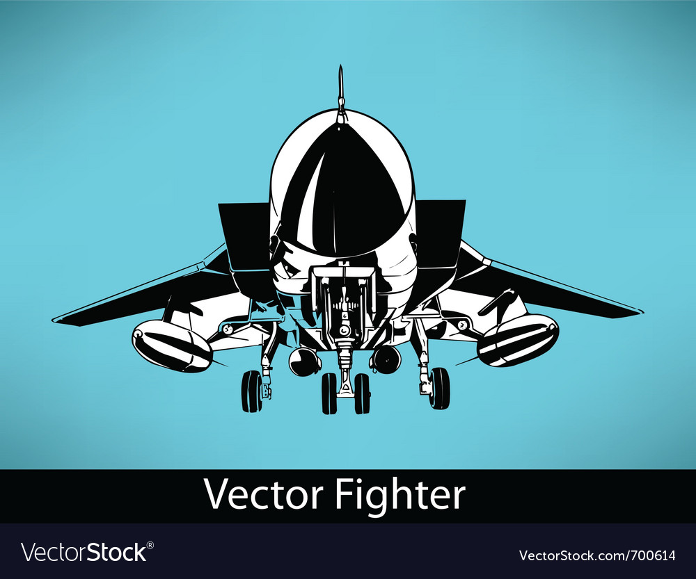 Fighter Royalty Free Vector Image - VectorStock