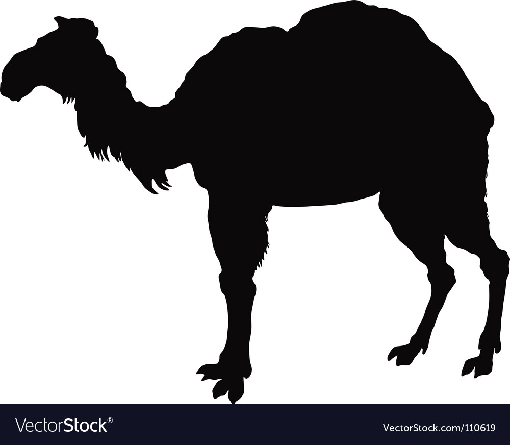 Camel Royalty Free Vector Image - VectorStock