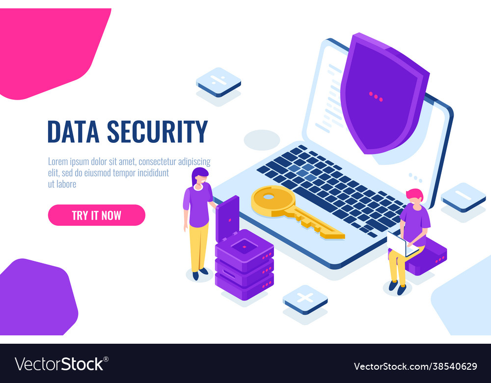Protection and security computer data Royalty Free Vector