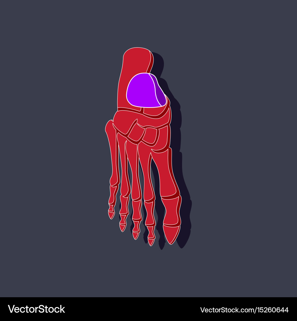 Foot skeleton paper sticker on stylish background Vector Image