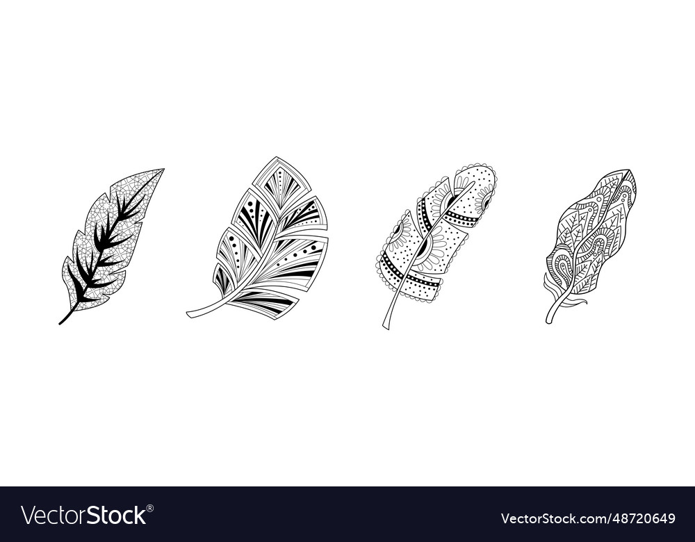 Feather artistically drawn stylized element Vector Image