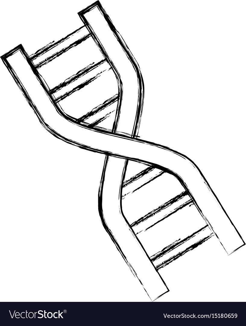 Genetic code Royalty Free Vector Image - VectorStock