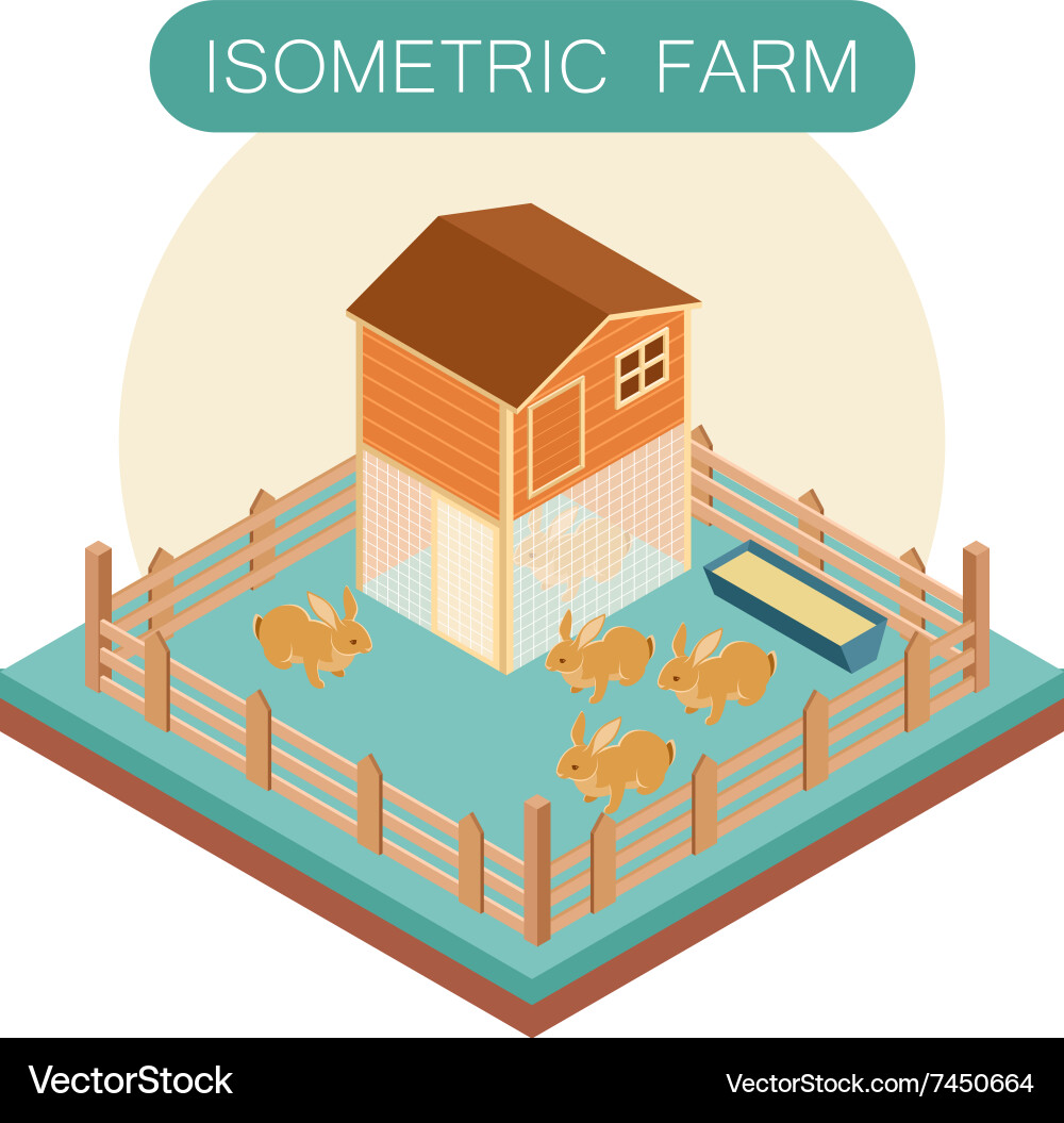 Isometric farm house for rabbits Royalty Free Vector Image