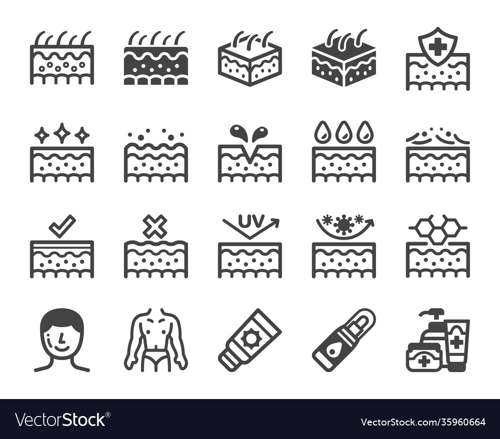Skin Icon Set Royalty Free Vector Image Vectorstock