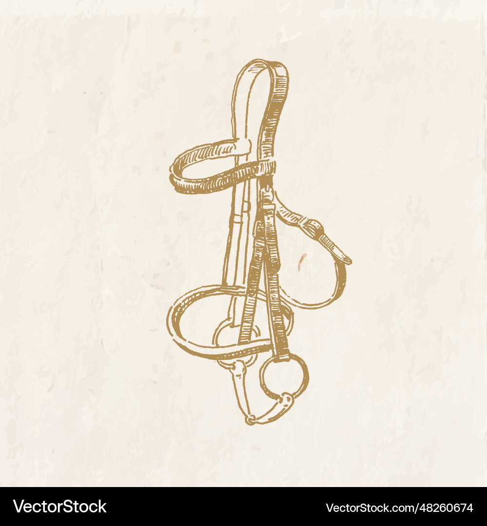 Hand drawn horse bridle Royalty Free Vector Image