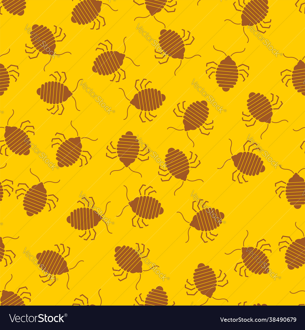 Bed bug pattern seamless bedbug background chinch Vector Image