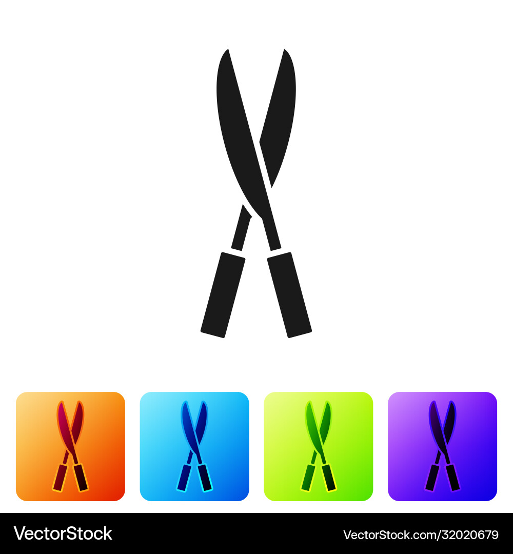 Black gardening handmade scissors for trimming Vector Image