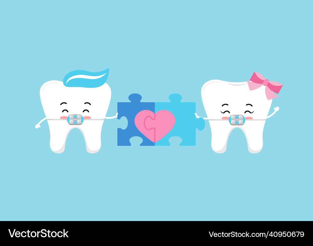 Tooth couple in brackets with two puzzle pieces Vector Image