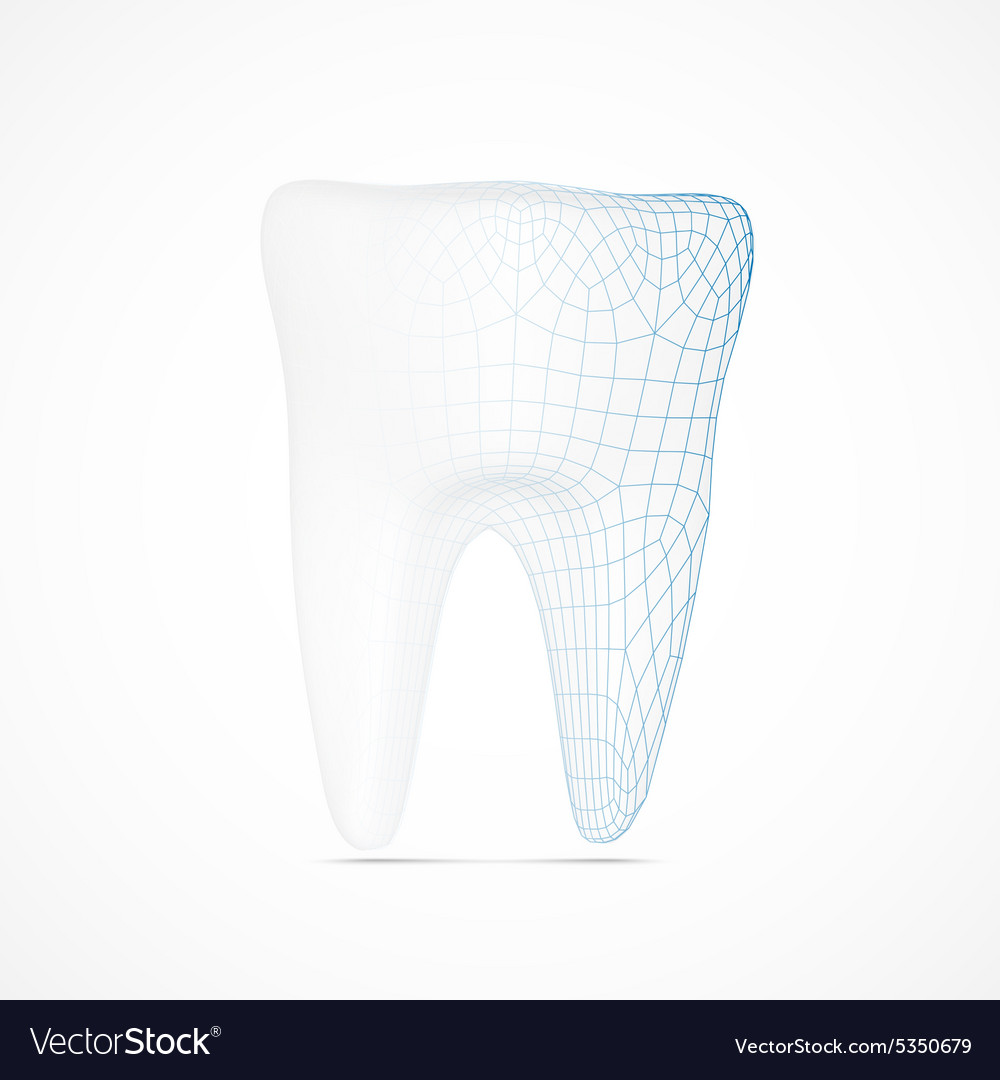 Tooth wireframe Royalty Free Vector Image - VectorStock