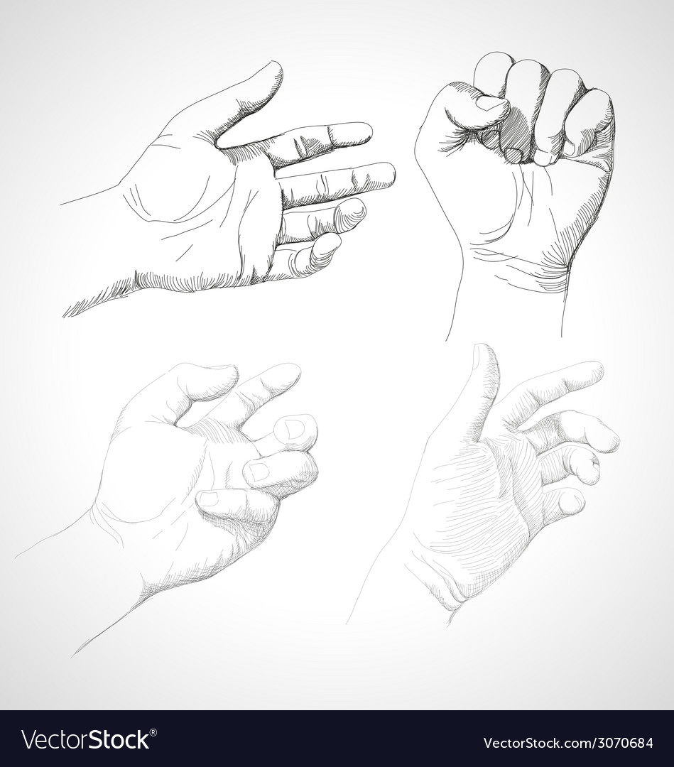 Hand Royalty Free Vector Image - VectorStock