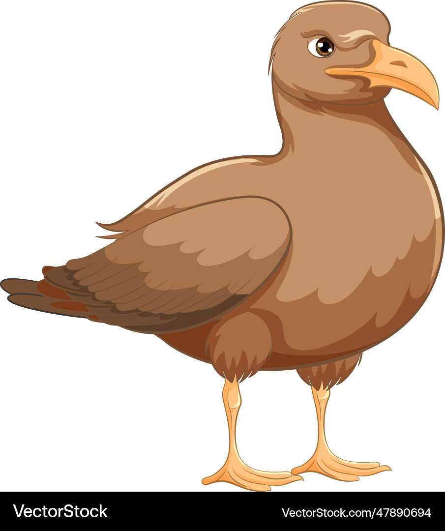 Brown bird standing Royalty Free Vector Image - VectorStock
