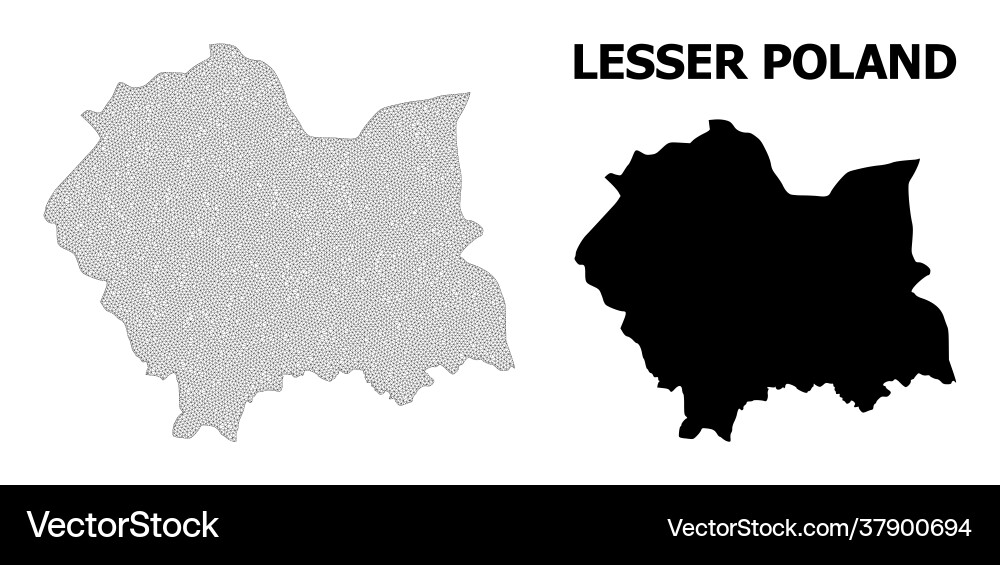 Polygonal carcass mesh high detail map Royalty Free Vector