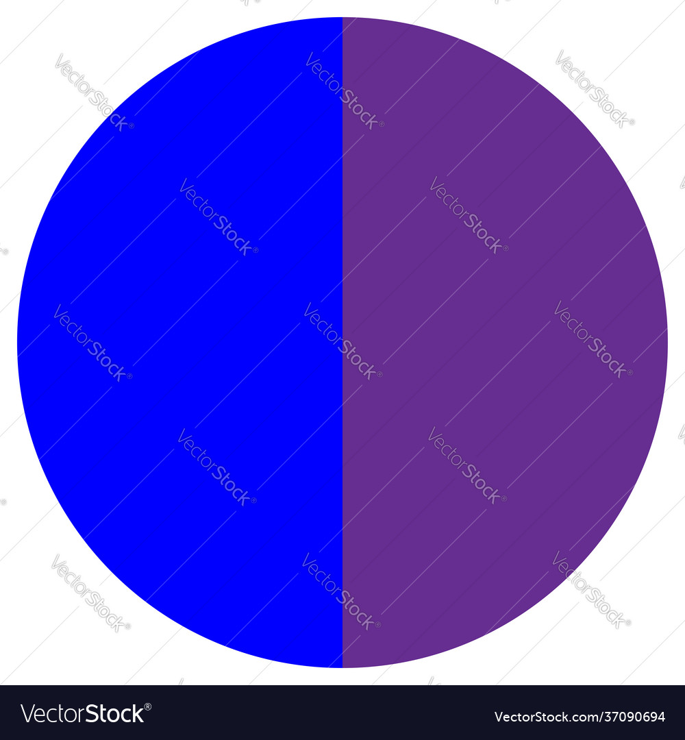 Segmented circle pie graph pie chart infographics Vector Image