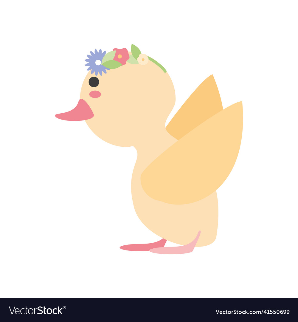 Duck spring animal Royalty Free Vector Image - VectorStock